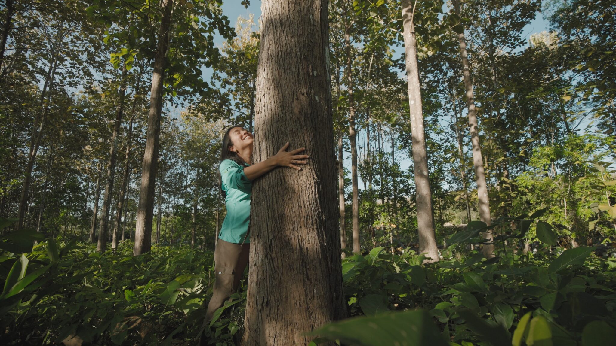 Ecotopia Teak – Panama teak